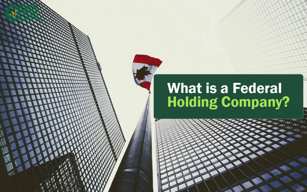 Federal Holding Company | Online Business Registry