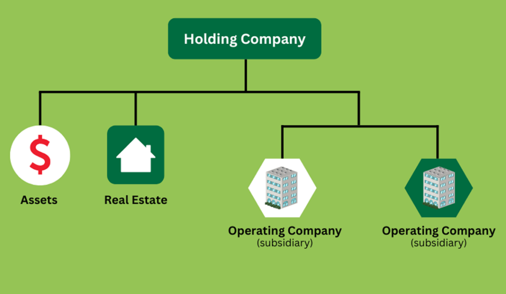 Holding Company vs. Standard Corporation | OBR