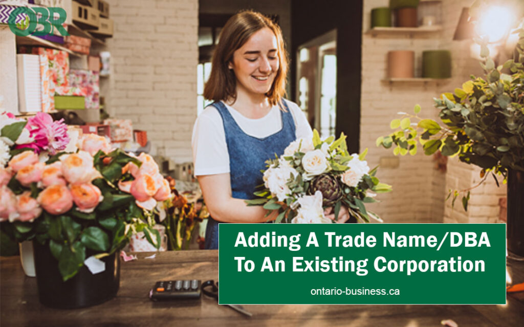 A Guide to Understanding the Master Business License in Ontario